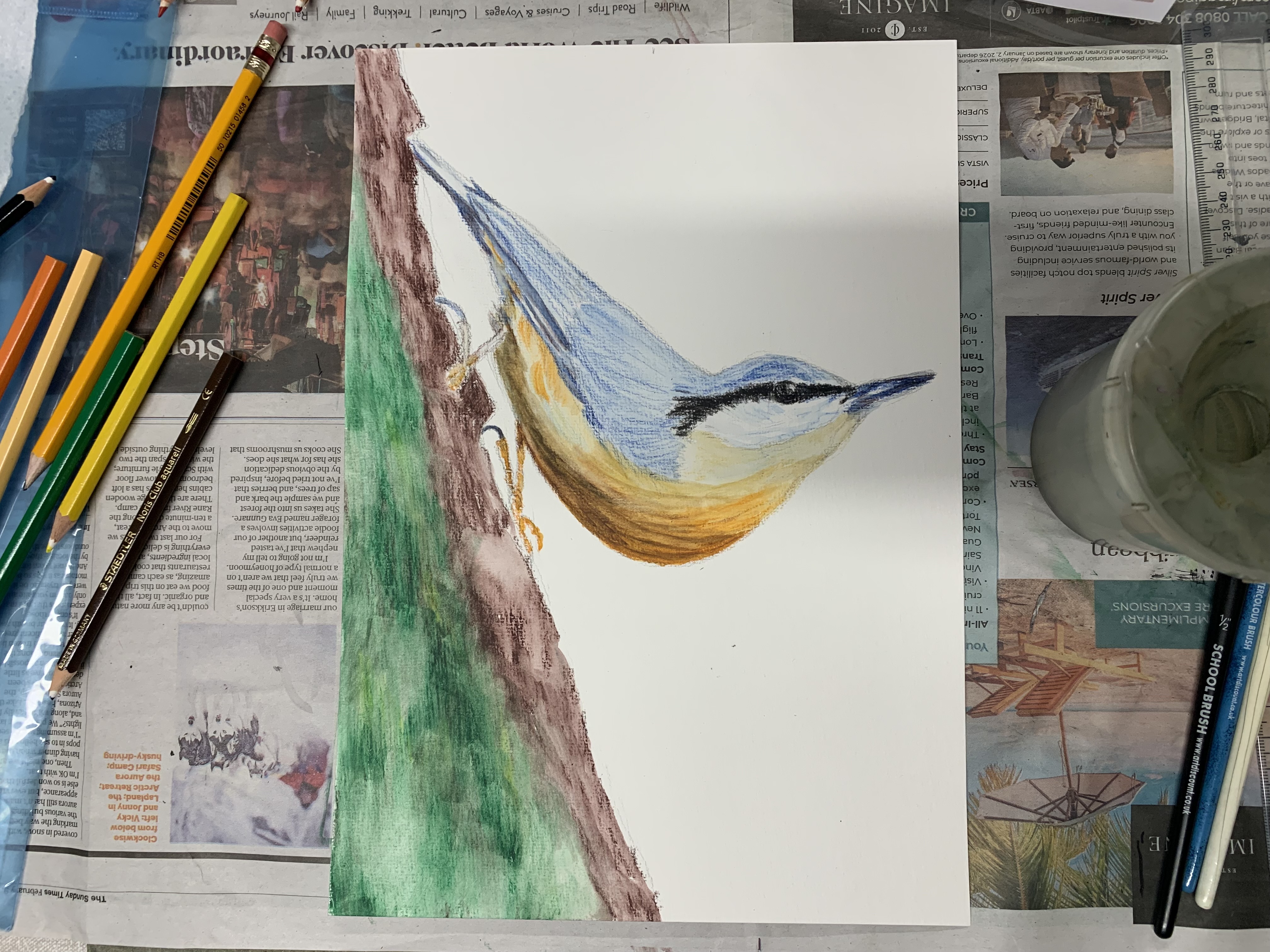 Beginners Birds Drawing Course 2 – Lesson 4: Nuthatch | Leeds Art Group